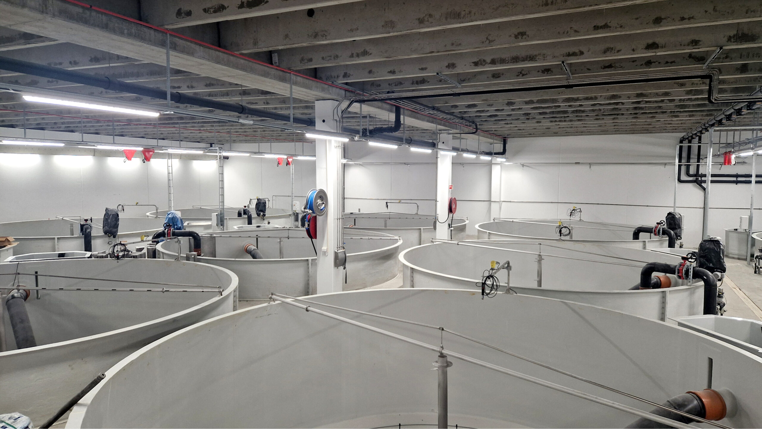 ENTEC Brimer to provide RAS tanks for Soul of Japan - RASTECH Magazine